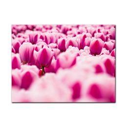 Bilderdepot24 Leinwandbild Pinke Tulpen