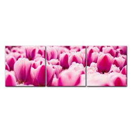 Bilderdepot24 Leinwandbild Pinke Tulpen