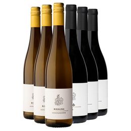 Weingut Haberkern-Betz Premium-Paket rot&wei&szlig; Trocken - W&uuml;rttemberg &ndash; Probierpaket Qualit&auml;tswein