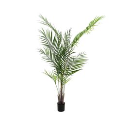 EUROPALMS Gro&szlig;blatt-Areca, 165cm - Kunstpflanze