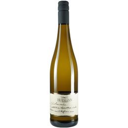 Weingut Bernd Hofmann S Scheurebe 2023 Feinherb - Franken &ndash; Wei&szlig;wein Landwein Main
