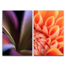 Sinus Art Leinwandbild 2 Bilder je 60x90cm Dahlie Blumen Blüten Sanft Dekorativ Fotokunst Makrofotografie