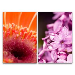 Sinus Art Leinwandbild 2 Bilder je 60x90cm Blumen Rosa Rot Regentropfen Frisch Kunstvoll Makrofotografie