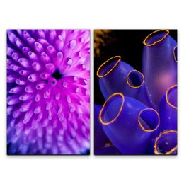 Sinus Art Leinwandbild 2 Bilder je 60x90cm Korallen Korallenriff Unterwasser Violett Aquarium Blau Makrofotografie