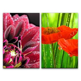 Sinus Art Leinwandbild 2 Bilder je 60x90cm Zinnien rote Blumen Natur Sommer Wassertropfen Stimmig Makrofotografie