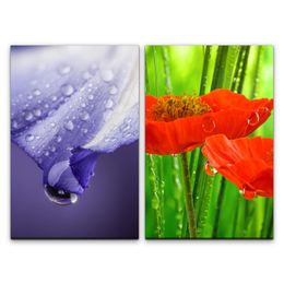 Sinus Art Leinwandbild 2 Bilder je 60x90cm Blumen Blüten Wassertropfen Mohnblume Rot Grün Makrofotografie