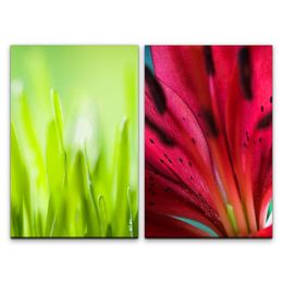 Sinus Art Leinwandbild 2 Bilder je 60x90cm Gras Grashalme Grün Rot Erfrischend Blüte Makrofotografie