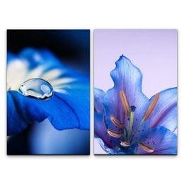 Sinus Art Leinwandbild 2 Bilder je 60x90cm Orchidee Wasserperle blaue Blüten Blumen Sanft Fotokunst Makrofotografie