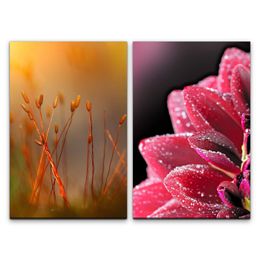 Sinus Art Leinwandbild 2 Bilder je 60x90cm Knospen Rot Zinnien Blüten Blumen Sommer Sanft