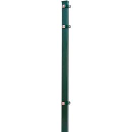 Peddy Shield Eckpfosten, 170 cm Höhe, für Ein- und Doppelstabmatten, grün