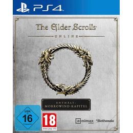 Bethesda Softworks The Elder Scrolls Online PlayStation 4