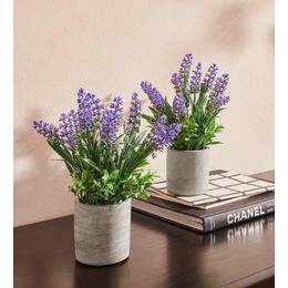 Guido Maria Kretschmer Home & Living Kunstpflanze Effetamo Lavendel, Guido Maria Kretschmer Home&Living, Höhe 23 cm, im Topf, 2er Set, lila