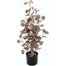Kunstpflanze Eukalyptuspflanze, I.GE.A., Höhe 75 cm, im Kunststofftopf, lila