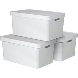 curver Organizer INFINITY (Set, 3 St), Aufbewahrungsbox, stapelbar, 45 Liter, weiß, weiß