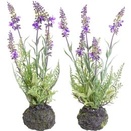 Künstliche Zimmerpflanze Lavendel Lavendel, Botanic-Haus, Höhe 30 cm, lila