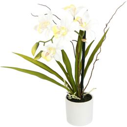 Kunstorchidee Orchidee, I.GE.A., Höhe 33 cm, im Keramiktopf, beige