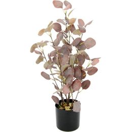 Kunstpflanze Eukalyptus, I.GE.A., Höhe 60 cm, Im Topf, mit Natursteinchen, lila