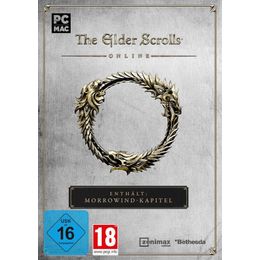 Bethesda Softworks The Elder Scrolls Online PC