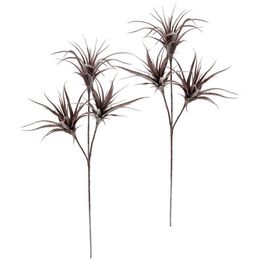 Kunstpflanze Tillandsia, I.GE.A., Höhe 63 cm, 2er Set, rosa