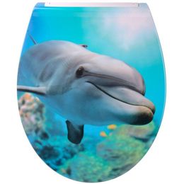 Sanilo WC-Sitz Flat Delphin, mit Absenkautomatik, blau|grau