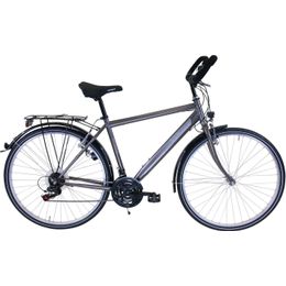 Performance Trekkingrad, 18 Gang Shimano ACERA RDM360 Schaltwerk, Kettenschaltung, für Herren, Kettenschaltung, grau