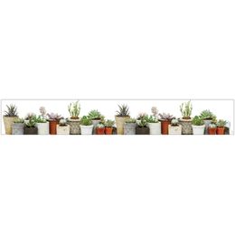 Fensterfolie Look Succulents, MySpotti, halbtransparent, glatt, 200 x 30 cm, statisch haftend, beige|braun|grün