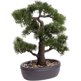 Kunstbonsai Ceder Bonsai Ceder, Botanic-Haus, Höhe 45 cm, grün