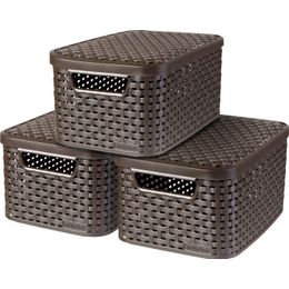 curver Organizer Style Box S (Set, 3 St), Aufbewahrungsbox, stapelbar mit und ohne Deckel, braun