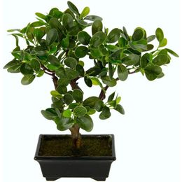 Kunstbonsai Ginseng-Bonsai, I.GE.A., Höhe 33 cm, in Bonsaischale aus Kunststoff, grün