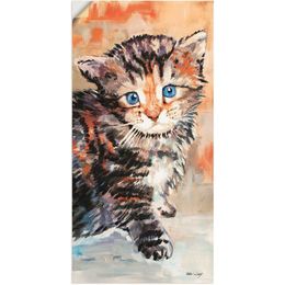 Artland Wandbild Katze, Haustiere (1 St), als Alubild, Outdoorbild, Wandaufkleber in verschied. Größen, beige