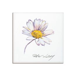 Artland Leinwandbild Blume_weiß V, Blumenbilder (1 St), auf Keilrahmen gespannt, weiß