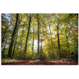 Artland Leinwandbild Laubwald zum Herbst, Waldbilder (1 St), auf Keilrahmen gespannt, grün