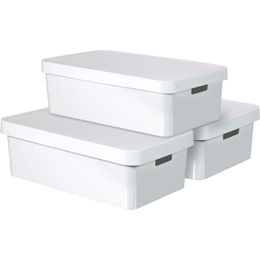 curver Organizer INFINITY (3 St), Aufbewahrungsbox, stapelbar, je 30 Liter, weiß, weiß