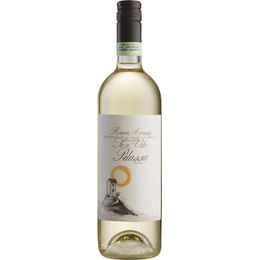 Daniele Pelassa Roero Arneis ?San Vito? DOCG