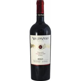 Valdivieso Merlot Single Valley Lot Gran Reserva DO