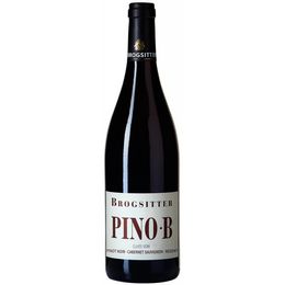 Brogsitter PINO·B Cuvée vom Pinot Noir, Cabernet Sauvignon, Regent