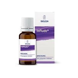 INFLUDO Mischung 20 ml