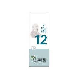 BIOCHEMIE Pflüger 12 Calcium sulfuricum D 6 Tropf. 100 ml