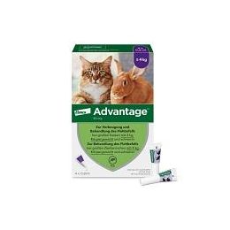 ADVANTAGE 80 mg f.gr.Katzen u.gr.Zierkaninchen 4X0.8 ml