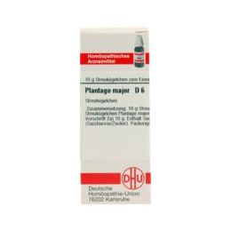 PLANTAGO MAJOR D 6 Globuli 10 g