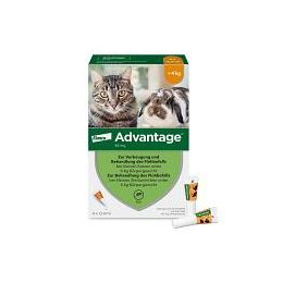 ADVANTAGE 40 mg Lsg.f.kl.Katzen/kl.Zierkaninchen 4X0.4 ml