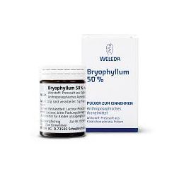 BRYOPHYLLUM 50% Pulver zum Einnehmen 20 g