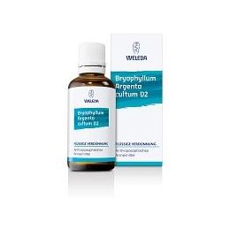 BRYOPHYLLUM ARGENTO cultum D 2 Dilution 50 ml