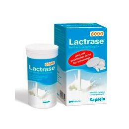LACTRASE 6.000 FCC Kapseln 100 St