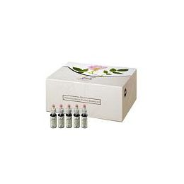 BACHBLÜTEN 10 ml Set Tropfen 400 ml