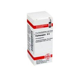 HAPLOPAPPUS D 6 Globuli 10 g