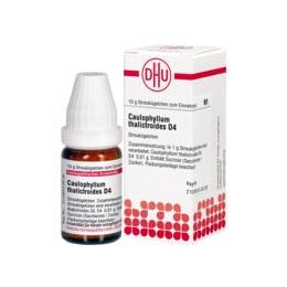 CAULOPHYLLUM THALICTROIDES D 4 Globuli 10 g