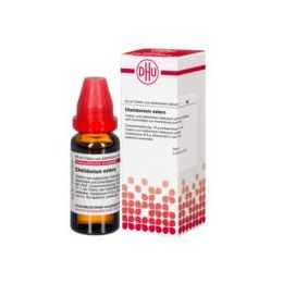 CHELIDONIUM EXTERN 20 ml