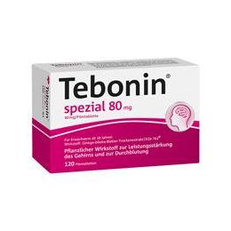 TEBONIN spezial 80 mg Filmtabletten 120 St