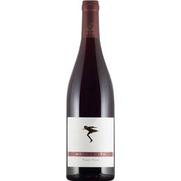 Weingut Siegrist Pinot Noir Ilbesheim Sp&auml;tburgunder 2019 Trocken - Pfalz &ndash; Rotwein VDP.Ortswein
